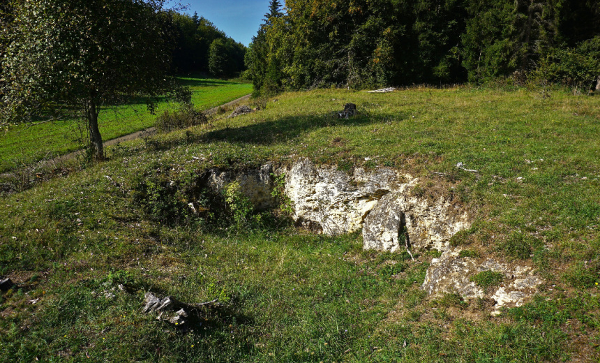 German BSI Disrupts Android Malware Infecting IoT Devices