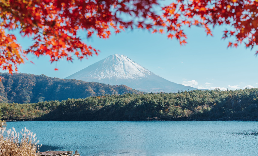 Japanese Businesses Hit By a Surge In DDoS Attacks