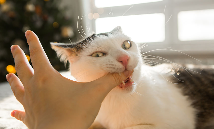 Just Like Windows: Linux Targeted by First-Ever UEFI Bootkit - UPDATED