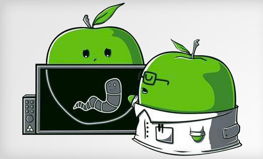 Mac ‘Fruitfly’ Infections More Numerous Than Believed