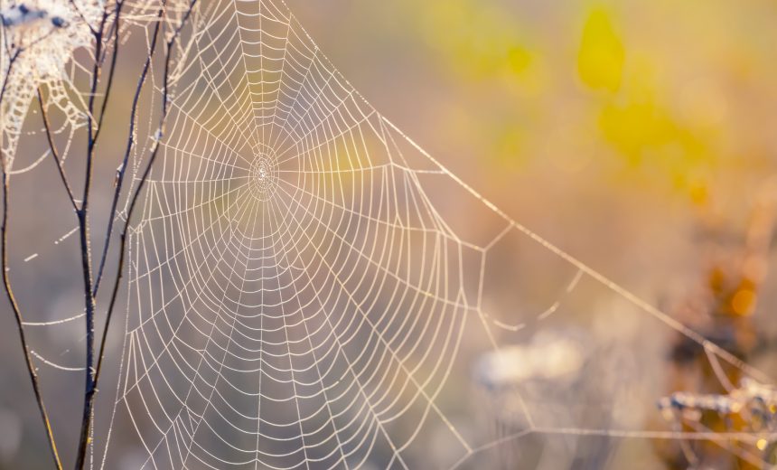 Teardown: How Scattered Spider Hacked a Logistics Firm