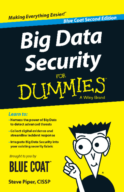 Big Data Security for Dummies - BankInfoSecurity