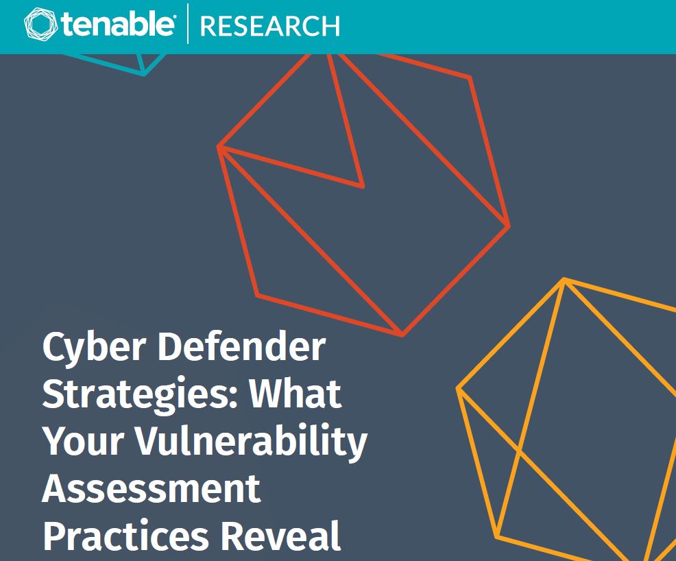 Cyber Defender Strategies: What Your Vulnerability Assessment Practices ...