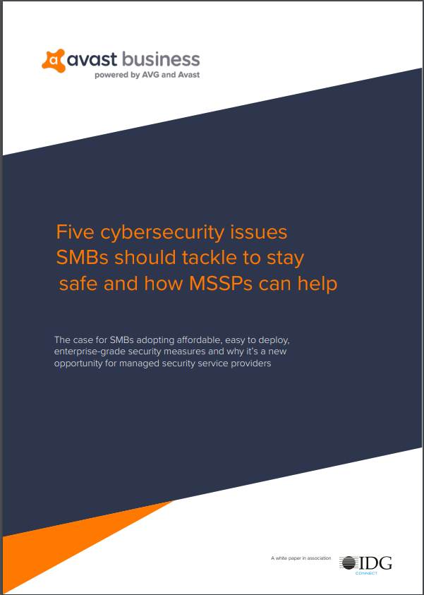 Five Cybersecurity Issues SMBs Should Tackle to Stay Safe and How MSSPs ...